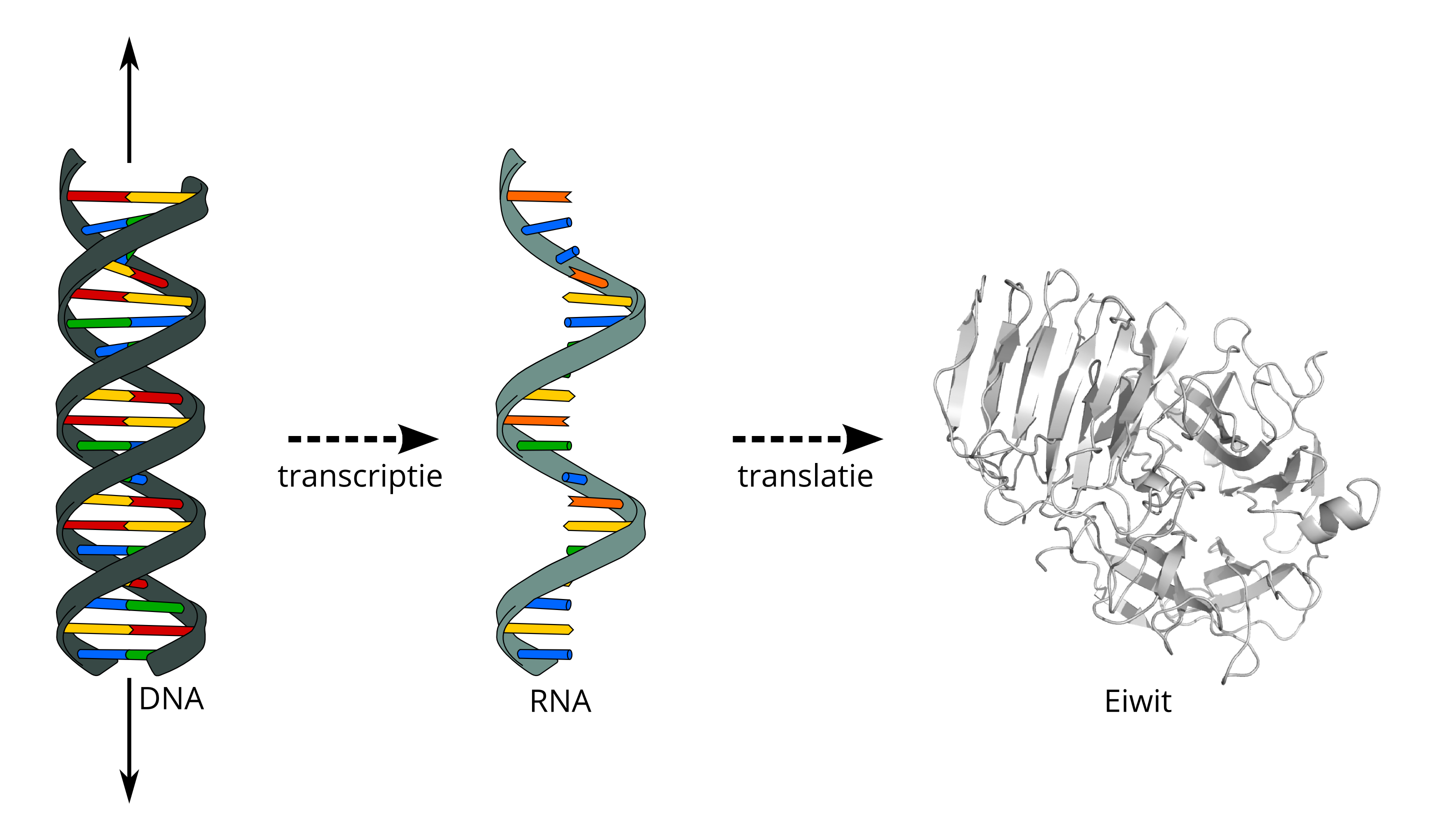 Sequence-based learning algorithms for understanding and improving ...